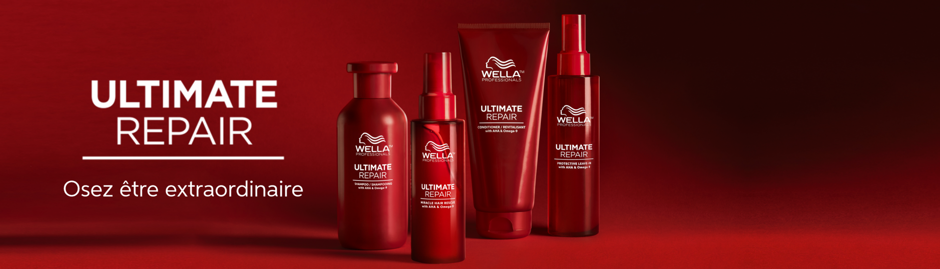 Cours : ULTIMATE REPAIR